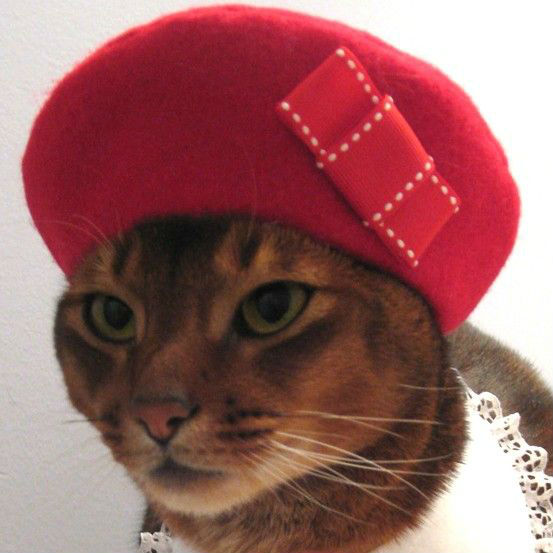 15 Adorably Fashionable Pets Who Pull Off The Color Red Better Than You