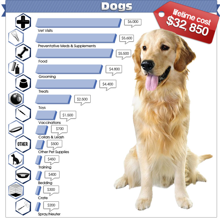 The Costs Of Owning Pets | On Sale | EntirelyPets