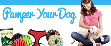 Unique products your pet dog will love | EntirelyPets