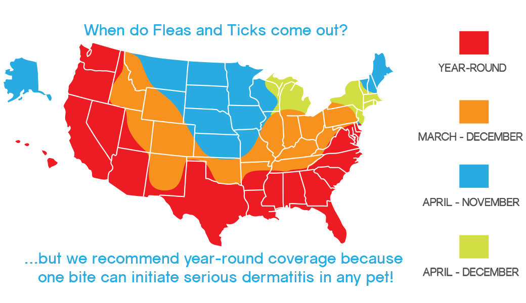Flea and Tick Control Medicine | Flea and Tick Medication