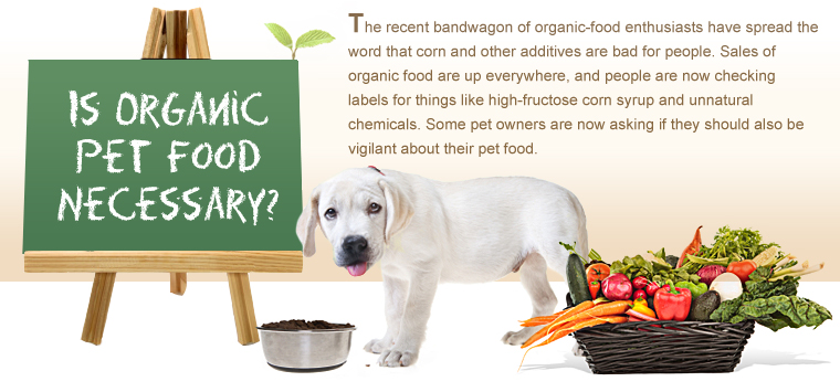 Is Organic Pet Food Necessary for your Dog & Cat? | On Sale | EntirelyPets