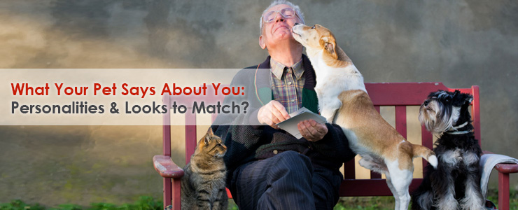 What Your Pet Says About You: Personalities and Looks to Match? | Pet ...