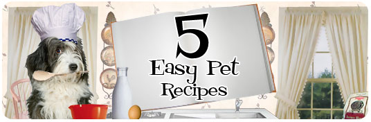 5 Easy Pet Recipes | On Sale | EntirelyPets