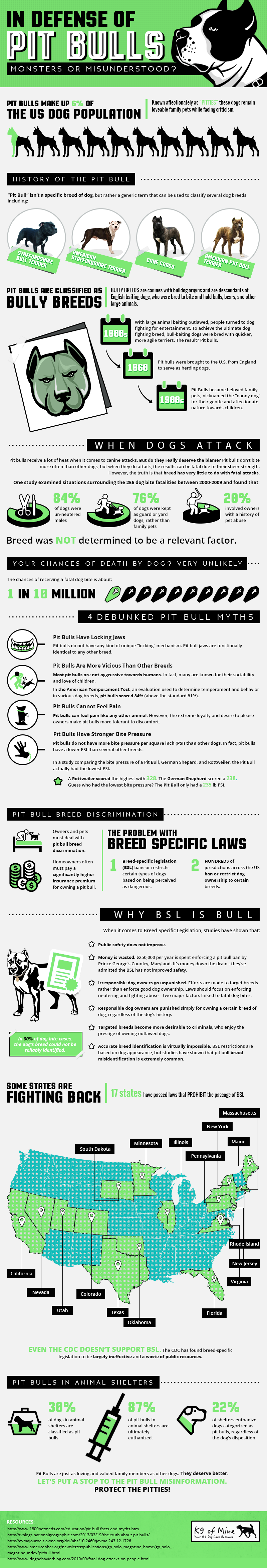 In Defense of Pitbulls [Infographic] | EntirelyPets