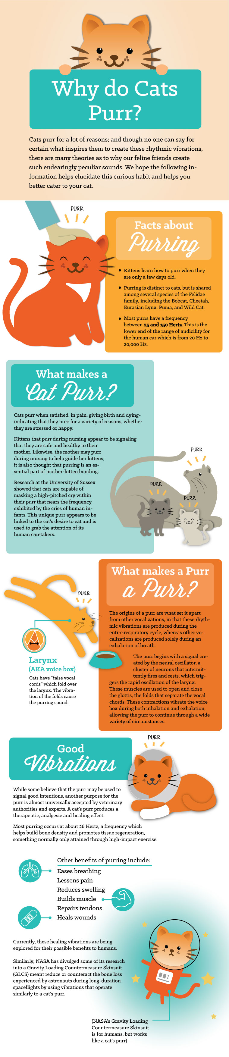 Why Do Cats Purr? [Infographic] | EntirelyPets