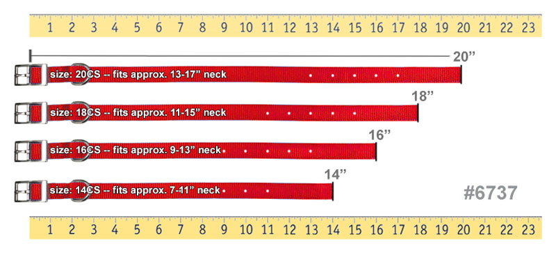 RED 3/4 in. OmniPet Single Ply Stitched Nylon Collar | Gun Dog Supply