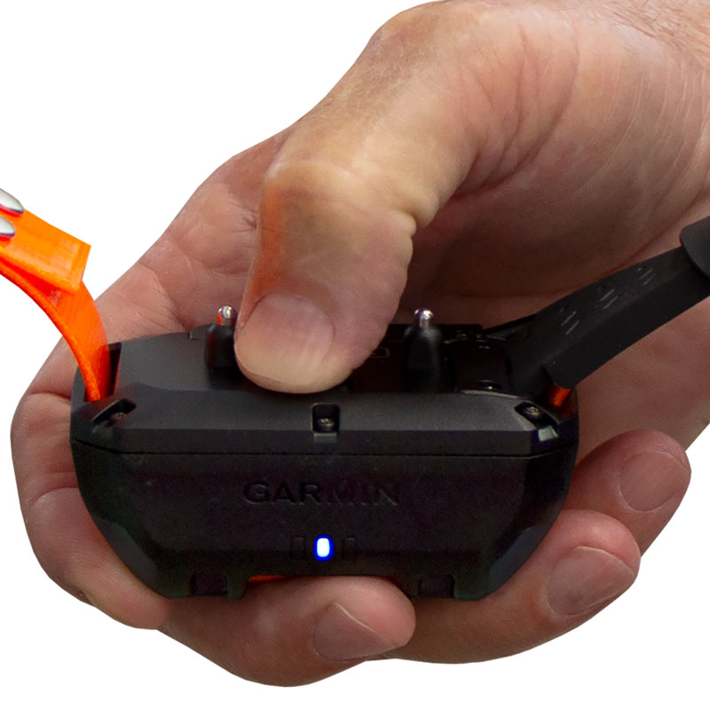 Garmin TT25 MINI Add-On GPS TRACKING + TRAINING Collar for Small Dogs ...