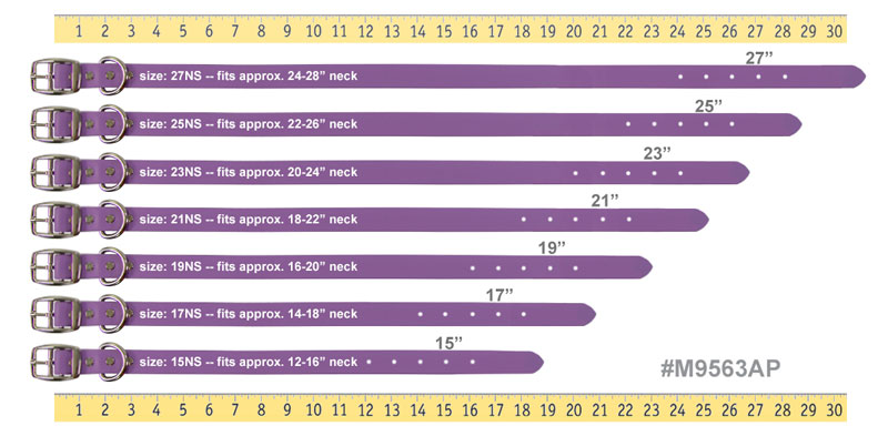 LASER BIG DAWG -- AMETHYST PURPLE 1 in. Super-Heavy Biothane Standard ...