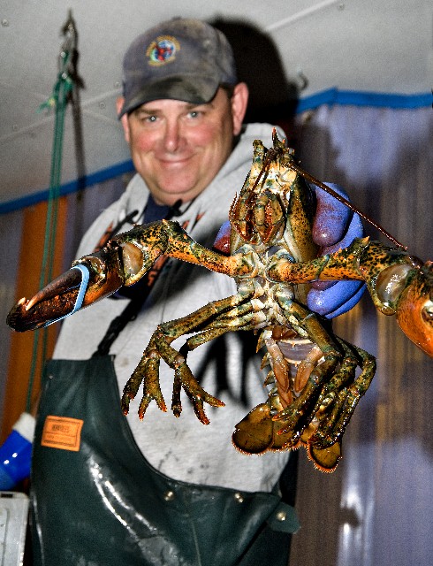 THE REAL "Lobster Fisherman!" Captain Tim