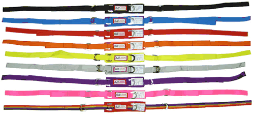 RJS 2" Band Arm Restraint