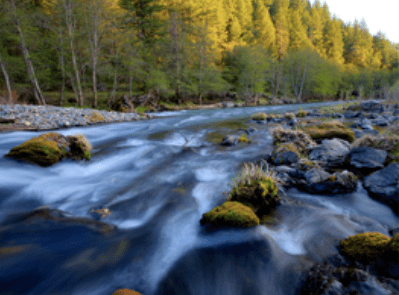10 Free Places to Go Gold Panning in California