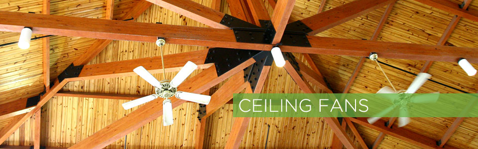 Ceiling Fans