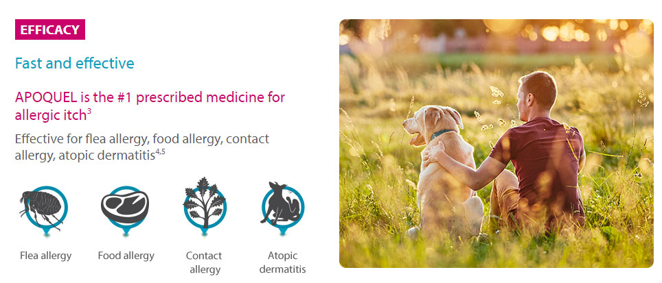 Apoquel 3.6 mg, 20 Ct. | Free Shipping | EntirelyPets Rx