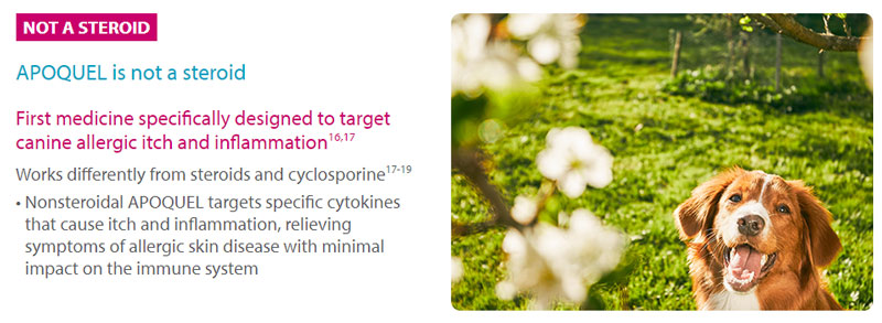 Apoquel 3.6 mg, 20 Ct. | Free Shipping | EntirelyPets Rx