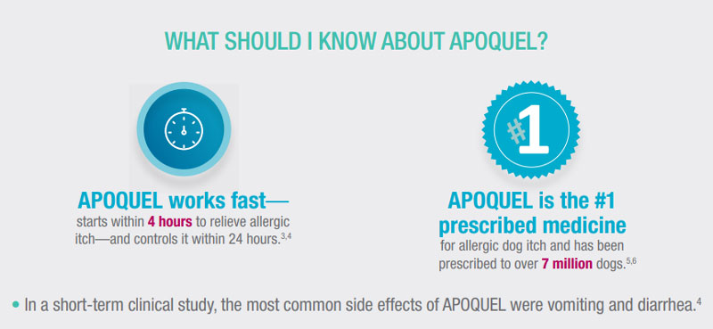 Apoquel 3.6 mg, 20 Ct. | Free Shipping | EntirelyPets Rx