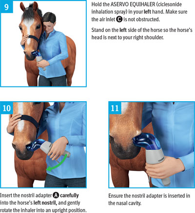 Aservo EquiHaler 343 mcg/actuation | On Sale | EntirelyPets Rx