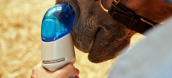 Aservo for Horses - EquiHaler 343 mcg/actuation - [Asthma Inhaler] | On ...