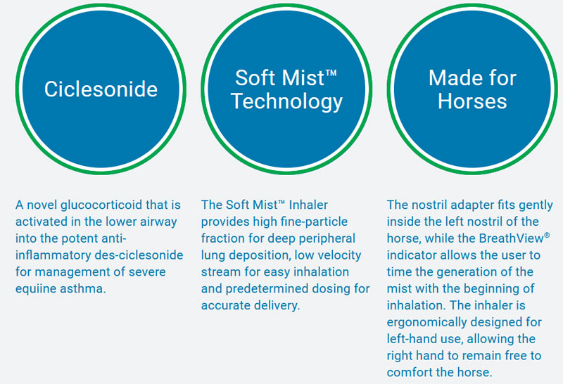 Aservo EquiHaler 343 mcg/actuation | On Sale | EntirelyPets Rx