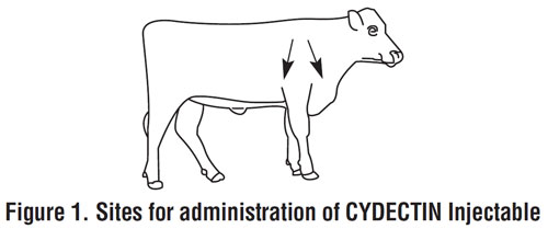 Cydectin (Moxidectin) Injectable Solution for Beef and Dairy Cattle ...