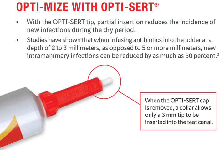 Dry-Clox Paste | On Sale | EntirelyPets Rx