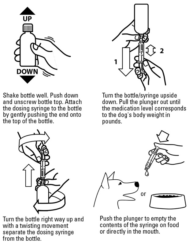 OstiLox for Dogs & Cats - (meloxicam) Injection 5mg/mL (20 ml) - [Pain ...