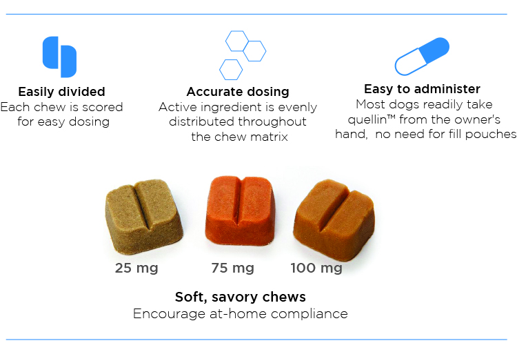 Quellin (Carprofen) Soft Chewables | On Sale | EntirelyPets Rx