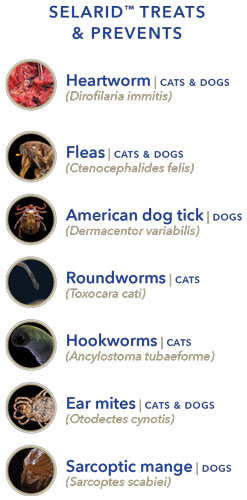 Selarid (selamectin) for Dogs | On Sale | EntirelyPets Rx