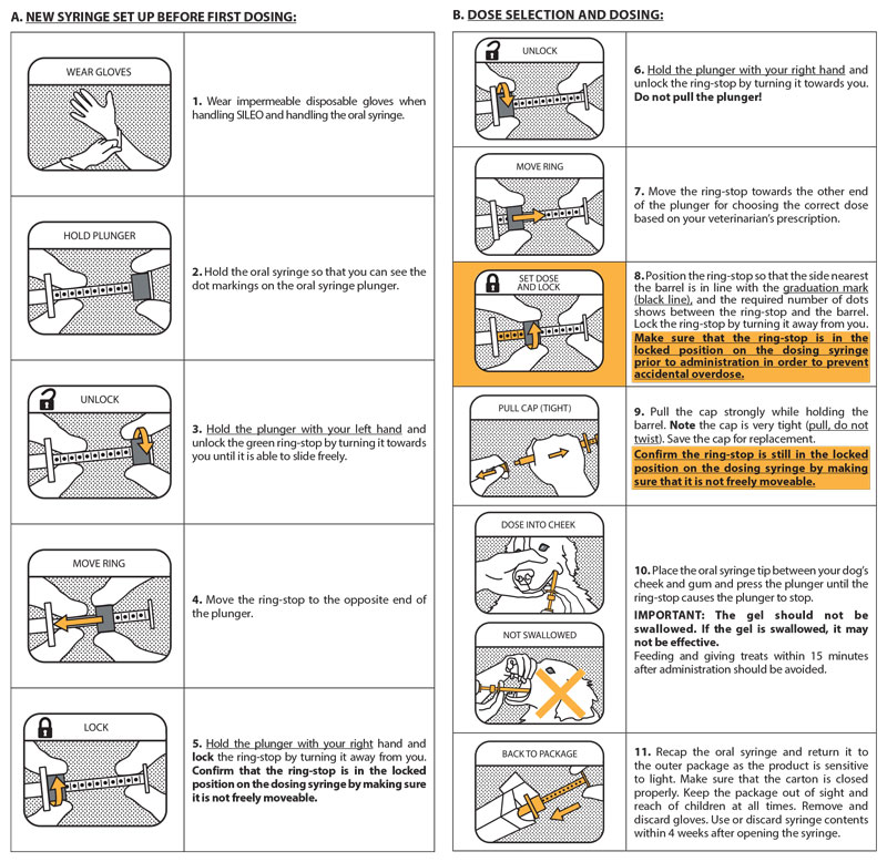 Zoetis Sileo 3mL Syringes | On Sale | EntirelyPets Rx