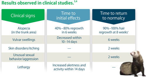 Suprelorin F Implant for Ferrets - 4.7mg (2 count) | On Sale | EntirelyPets Rx