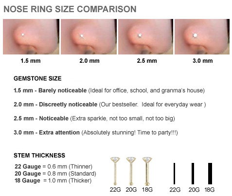 Nose Piercing Size Chart