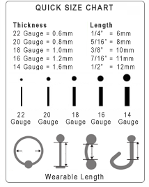 Ear Cartilage